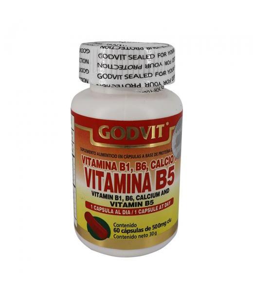 CAPS. VITAMINA B1 B5 B6 Y CALCIO C 60 GN+VIDA GODVIT